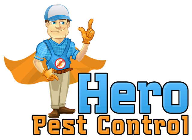 Pest Control Services in Waco TX | Hero Pest Control